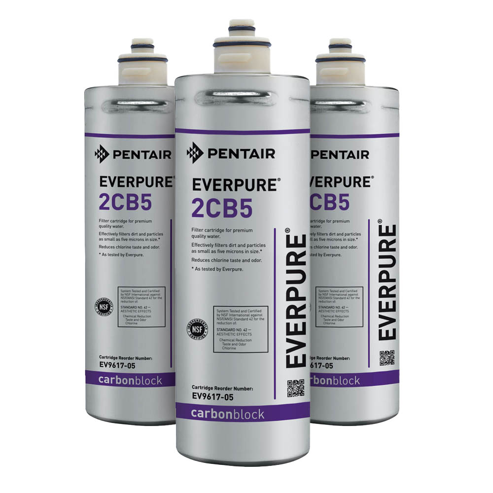 Everpure EV9617-21 | Commercial Water Filters | DiscountFilters.com