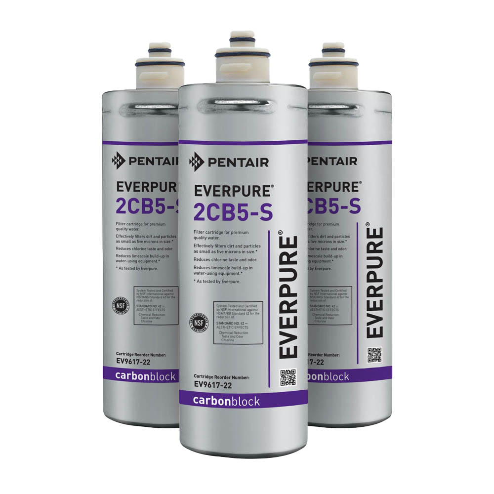 Everpure EV9617-22 3pk | DiscountFilters.com